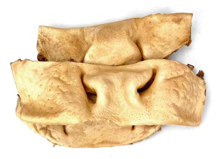 Beef Snouts | Real Roar