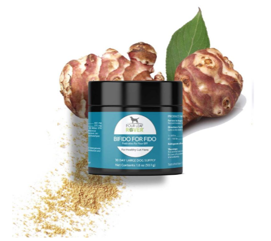 Bifido for Fido - Probiotics and Prebiotics for Immune Support | Real Roar
